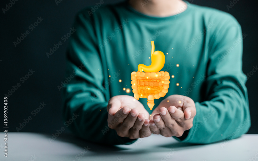 Diagnosis and treatment of diseases of the digestive system in the body ...