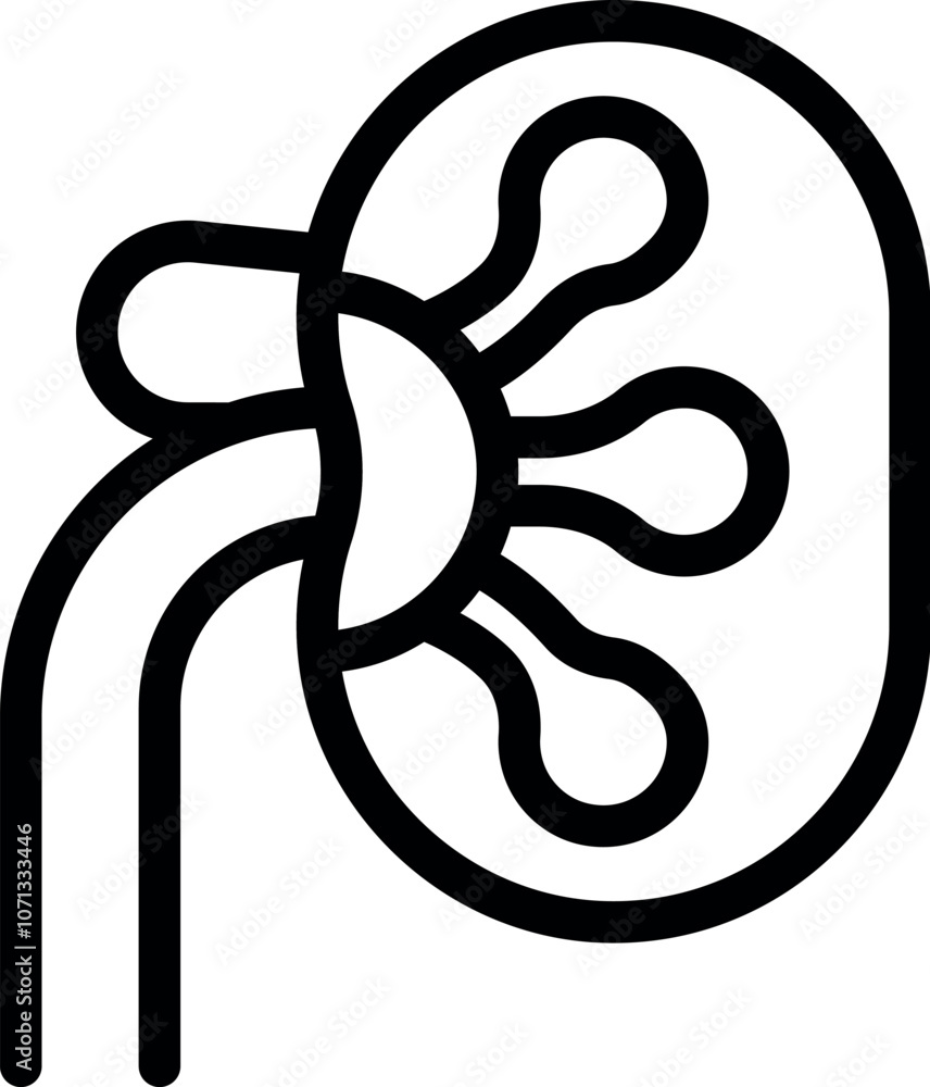 Simple, bold line art icon of renal pelvis collecting urine from kidney ...
