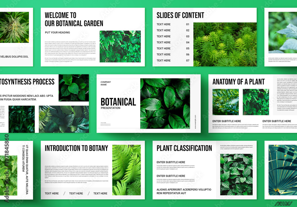 Botanical Presentation Layout Stock Template | Adobe Stock