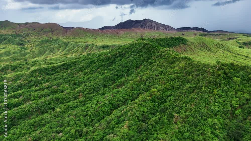 Slow, steady push towards vibrant greenery on a mountain in the ...