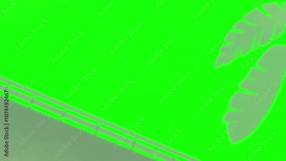 Shadow Overlay on green Screen. motion graphics. Shadow Overlay on ...