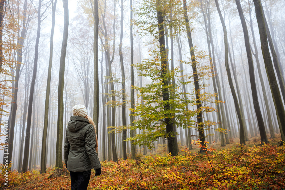 Forest therapy. Woman is feeling positive emotion in misty autumn ...