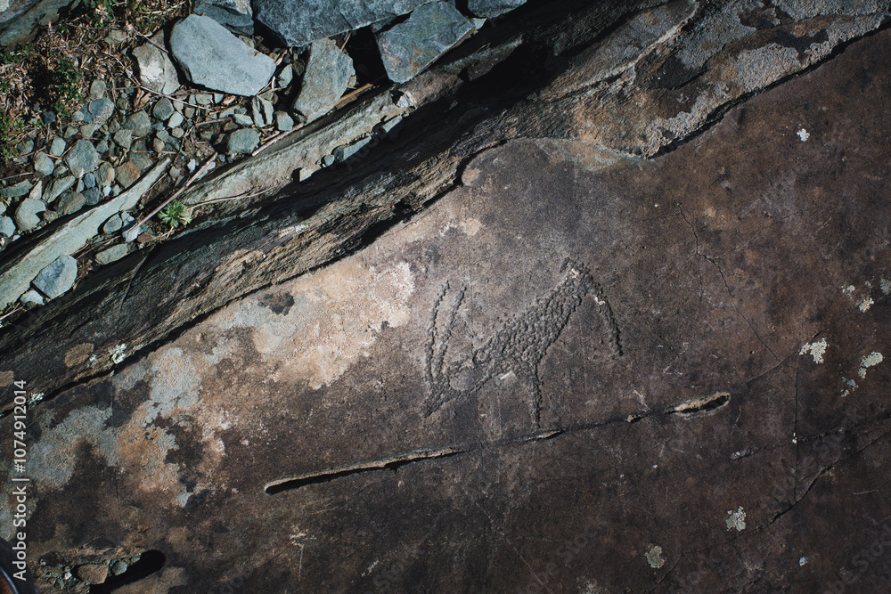 Ancient petroglyphs carved into the rocky cliffs of the Altai Mountains ...