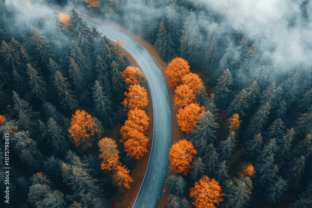 Aerial view of snake road in colorful autumn forest at sunset. Cheia ...