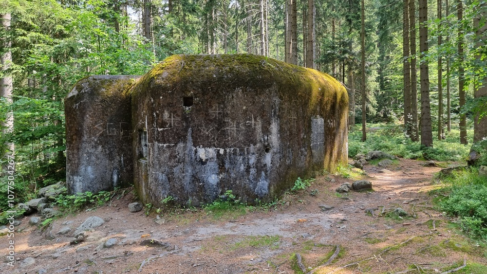 Maginot Line, reinforced concrete machine gun nest in the Czech Giant ...