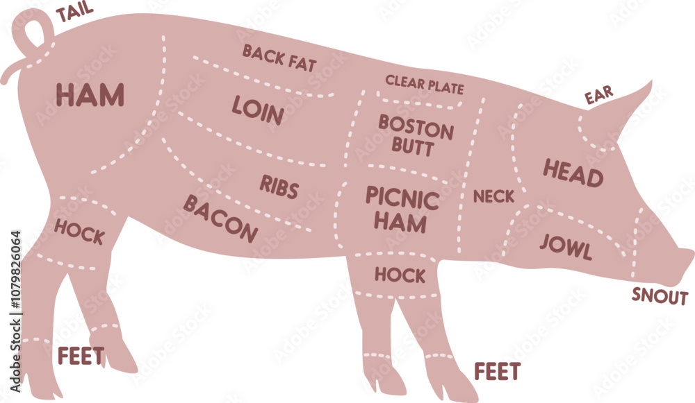Farm pig silhouette with labeled pork cuts like bacon, ham, and ribs ...