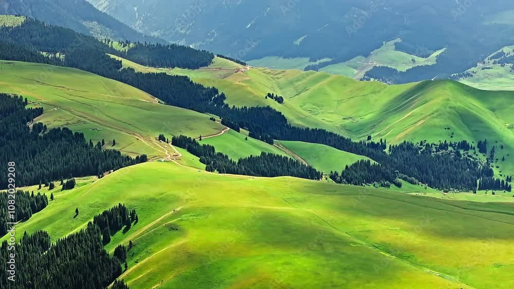 Green grass and forest with mountain natural landscape in Kalajun ...