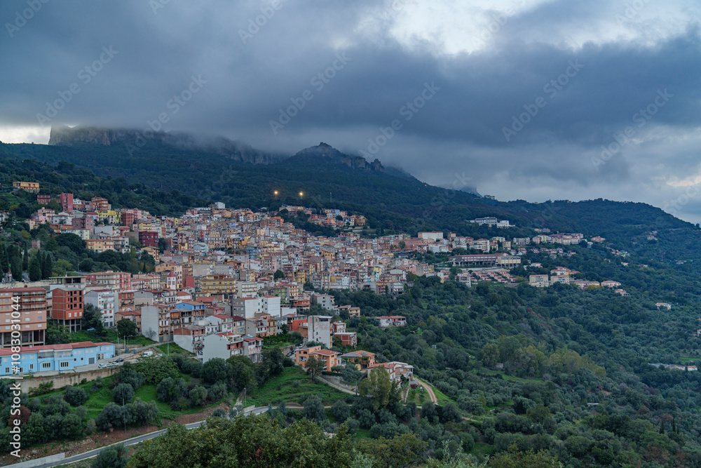 Poster A view of a very densely built-up town, hidden in the middle of ...