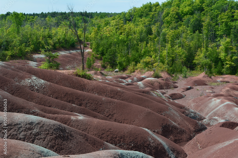 "Badlands" are areas of soft rock (soft shale and clay) that are easily ...