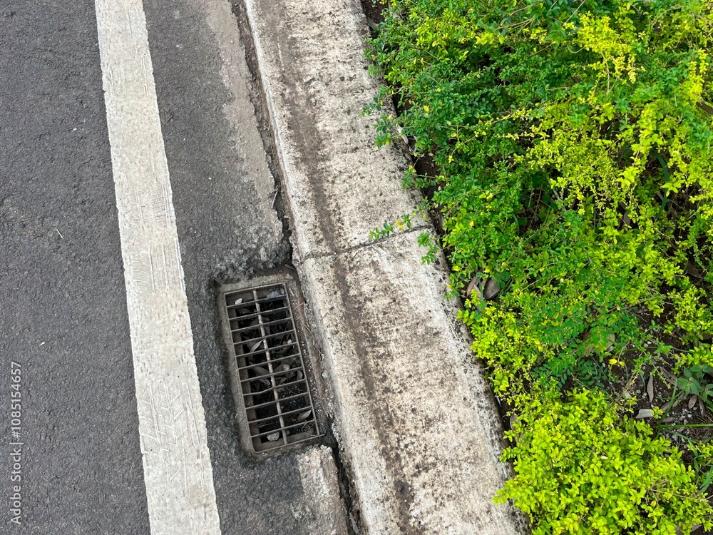 A roadside drainage grate surrounded by green vegetation and a concrete ...