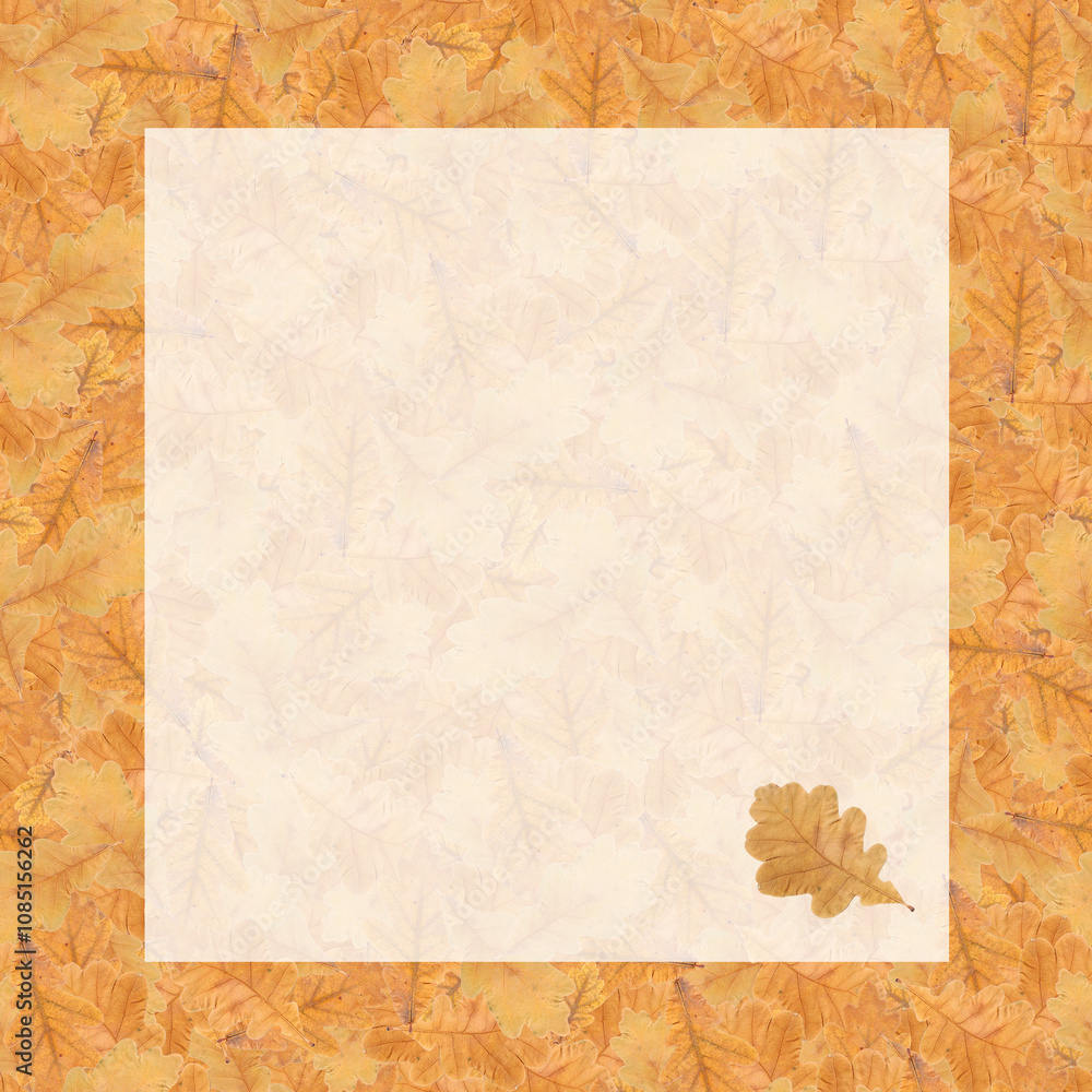 Autumn note frame of real oak fall leaves. Seasonal paper note template ...