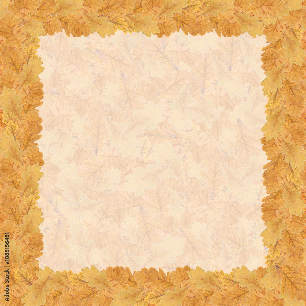 Autumn frame of real oak fall leaves. Seasonal paper note template ...
