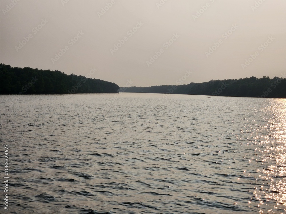 Kakinada, Andhra Pradesh India - Dec 02 2024: Coringa Wildlife ...