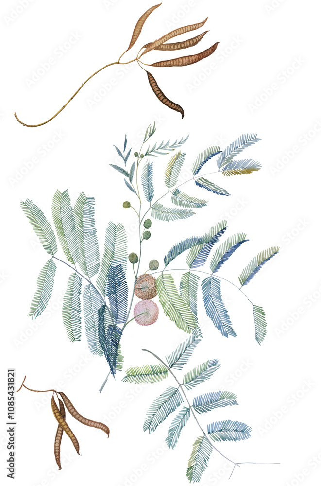Nature Inspired Scroll Designs in Watercolor Floral Patterns Stock ...