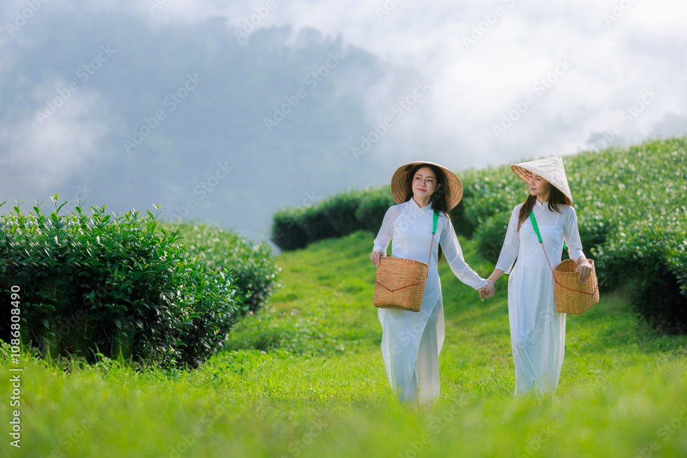 portrait of two young asian woman wearing white vietnamese dress walking and talk about the tea ...