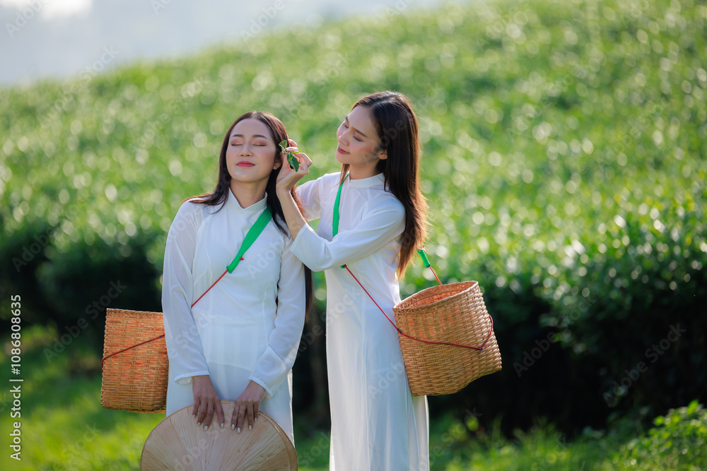 portrait of two young asian woman wearing white vietnamese dress in green tea plantation 101 ...