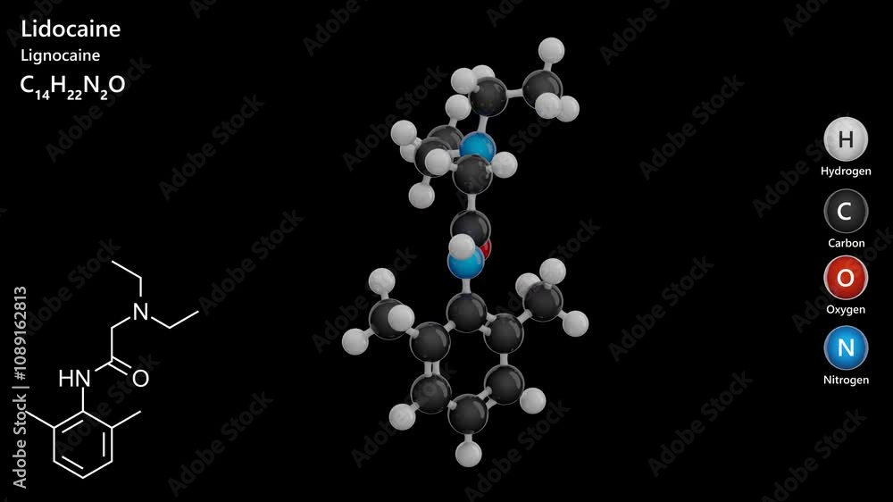 Lidocaine. Amide Local Anesthetic. Animated 3D model of a molecule ...