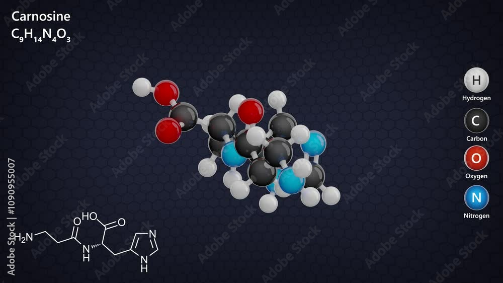 Carnosine. Animated 3D model of a molecule. Molecular formula ...