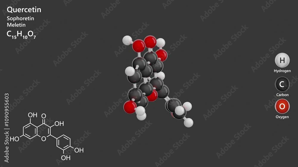 Quercetin. Animated 3D model of a molecule. Molecular formula: C15H10O7 ...