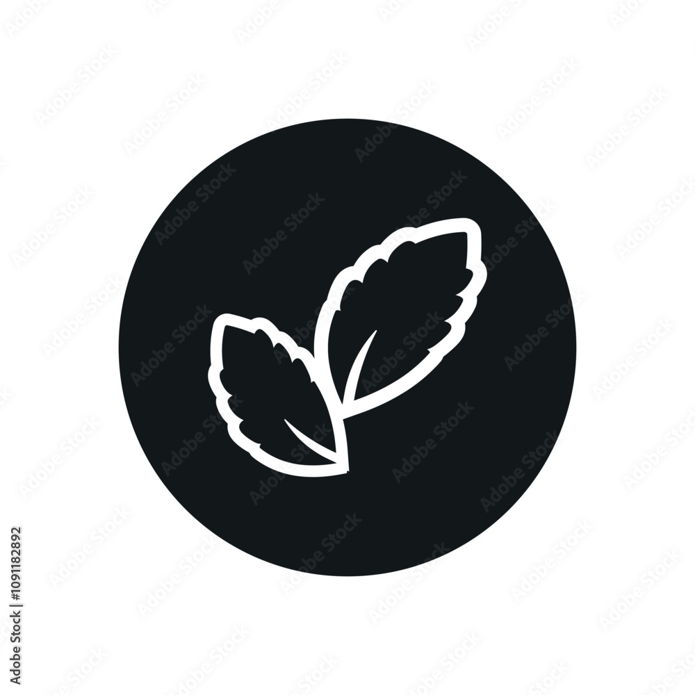 Stevia Sweetener Vector Circle Label Sign with Plant Leaves. Sugar ...
