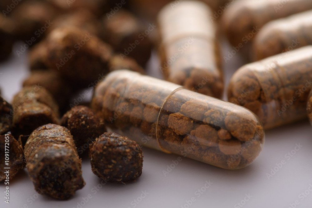 Macro photography of bee bread and biologically active supplement in ...