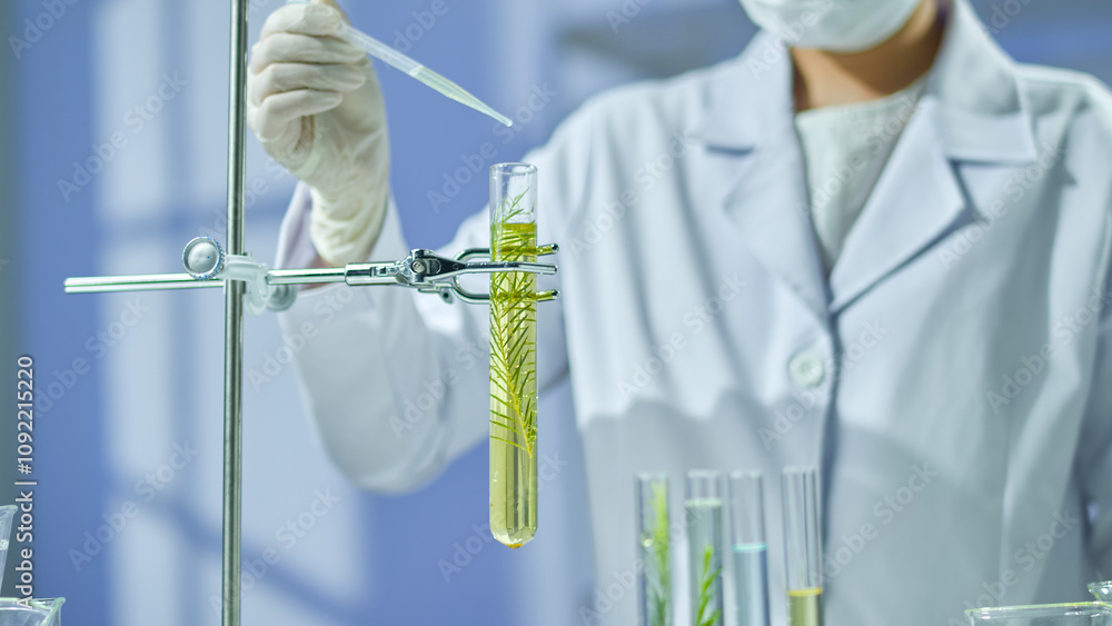 A template image in the laboratory background, shows the tea tree ...