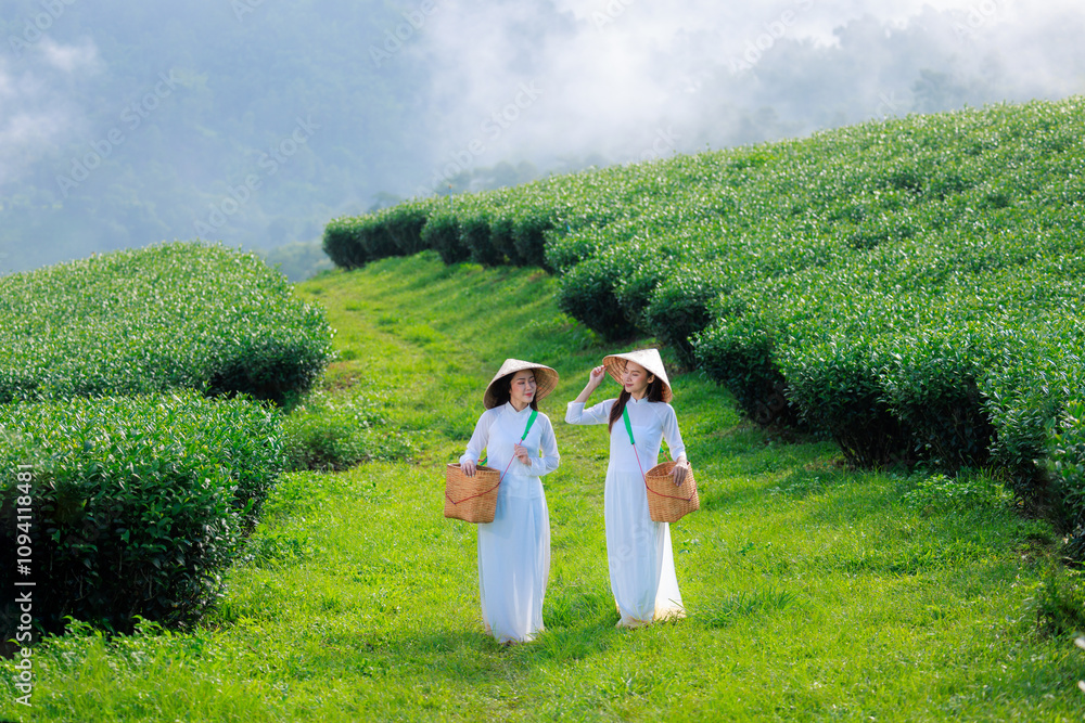 portrait of two young asian woman wearing white vietnamese dress walking and talk about the tea ...