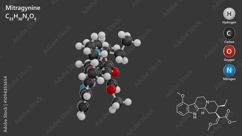 Mitragynine. Drug. Animated 3D model of a molecule. Molecular formula ...