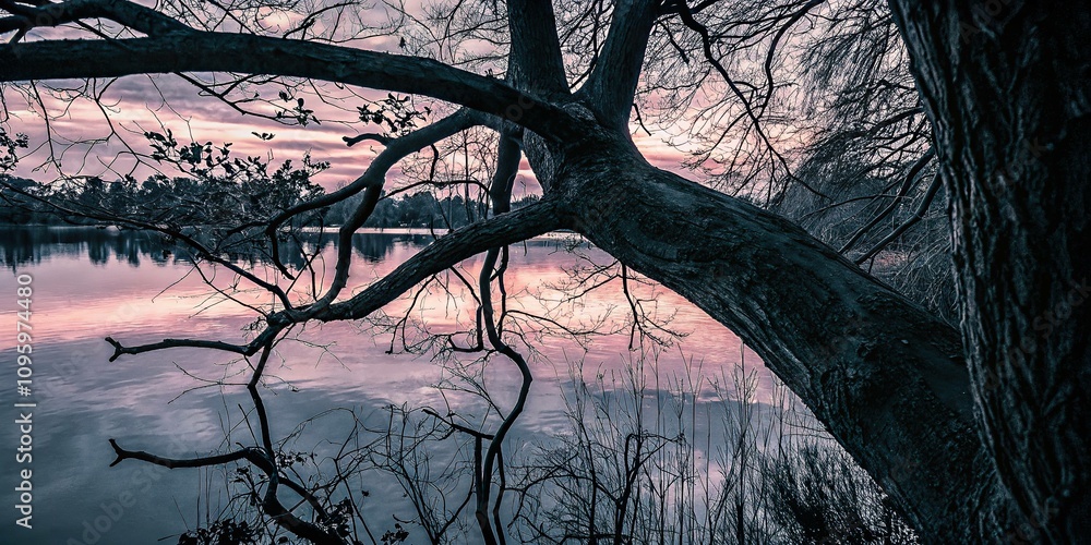 â€¢ In the fading light of day, a sentinel tree's sprawling branches ...