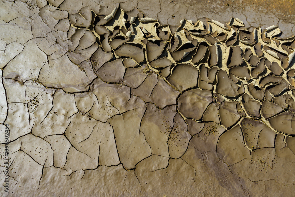 Clay that has dried out in a puddle has cracked and curled, the shore ...