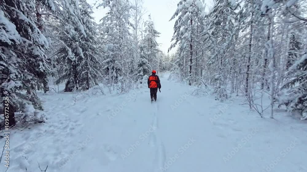 Following a hunter looking for moose tracks during a snowy day in a ...