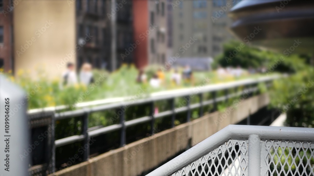 New York City High Line elevated greenway, Manhattan Midtown, USA ...