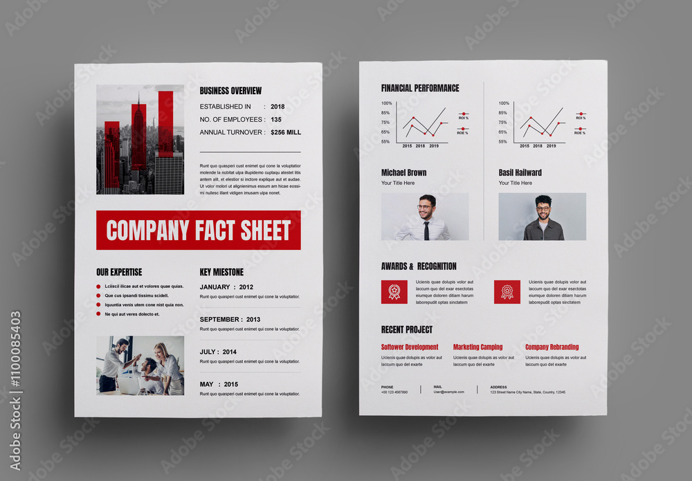 Business Company Fact Sheet Template Stock Template | Adobe Stock