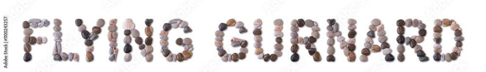 The word "FLYING GURNARD" is lined with shells and stones of different ...