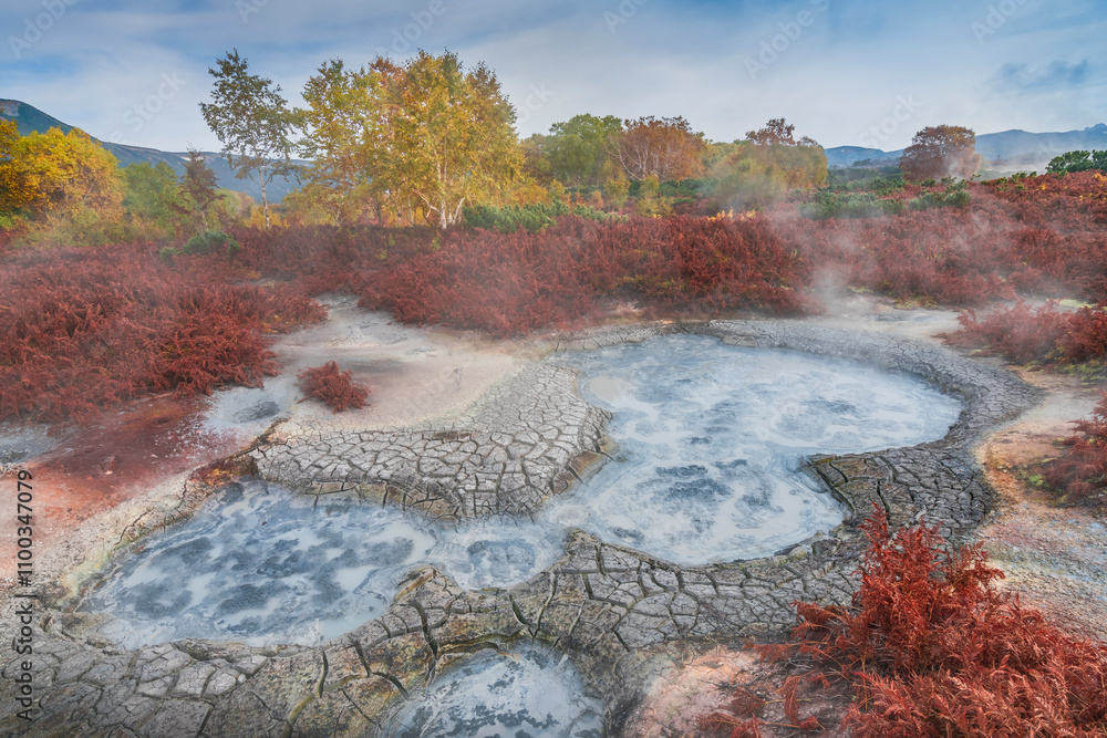 View of colorful geothermal hot springs with steam and cracked earth in ...