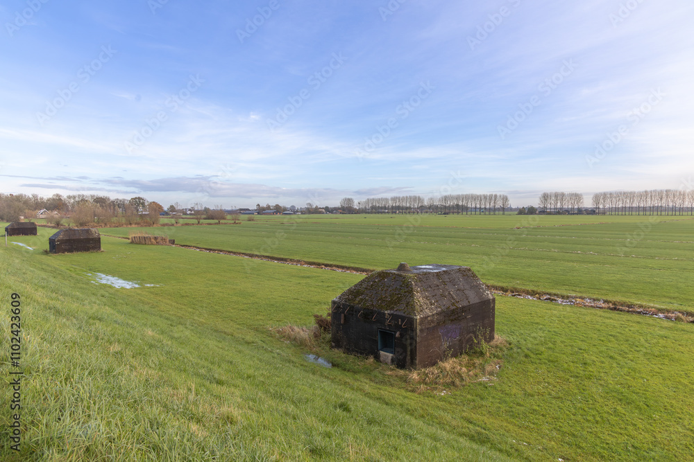 Culemborg, the Netherlands. Dutch concrete bunkers in the meadow built ...