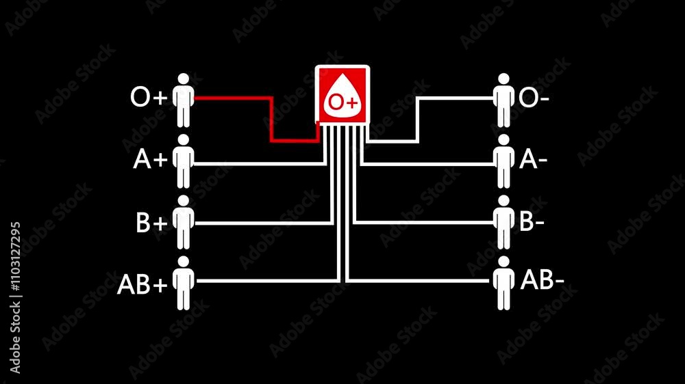 4k animation of blood donation with all possible blood group ...
