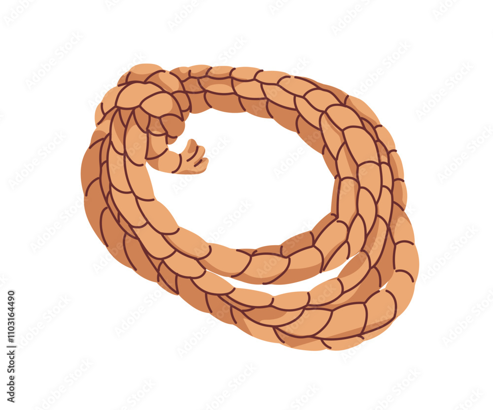 Rope, strong cord coiled in loops. Thick braided hemp twine, sturdy ...