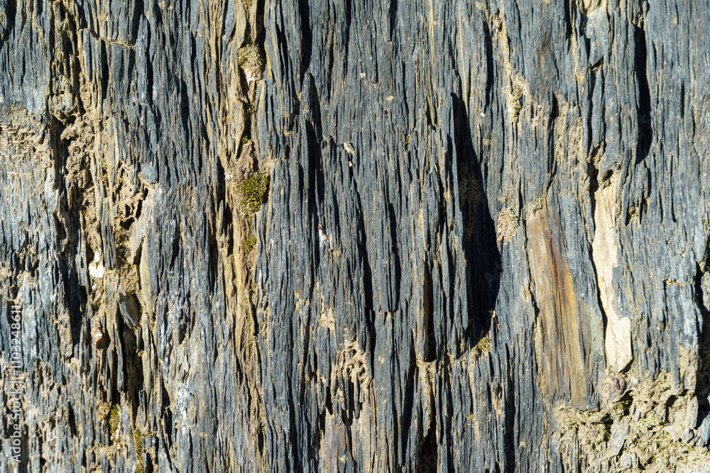 Beautiful natural texture of stones Caucasus mountains in Dombay ...