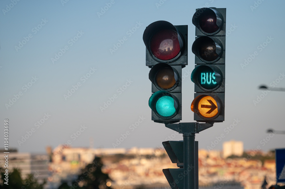 Traffic lights displaying signals for vehicles and buses in an urban ...
