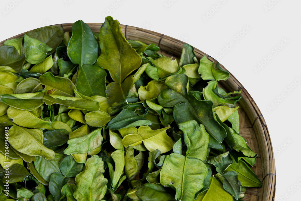 Dried kaffir lime leaves on a threshing basket with white background ...