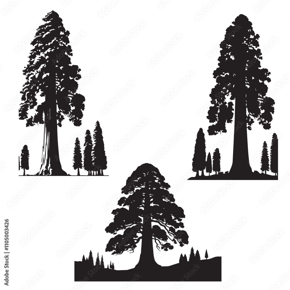 sequoia tree silhouette set - sequoia leaf vector -organic nature ...