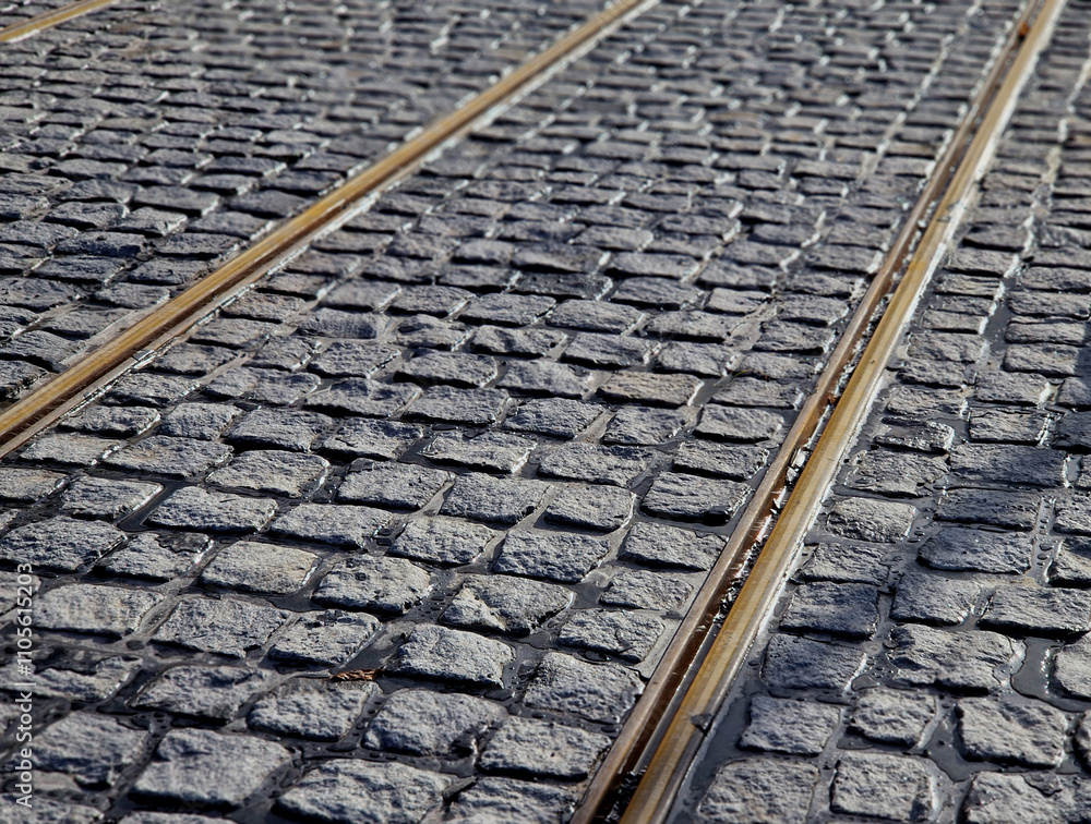 new tram tracks. in the city on the promenade. paving made of bricks ...