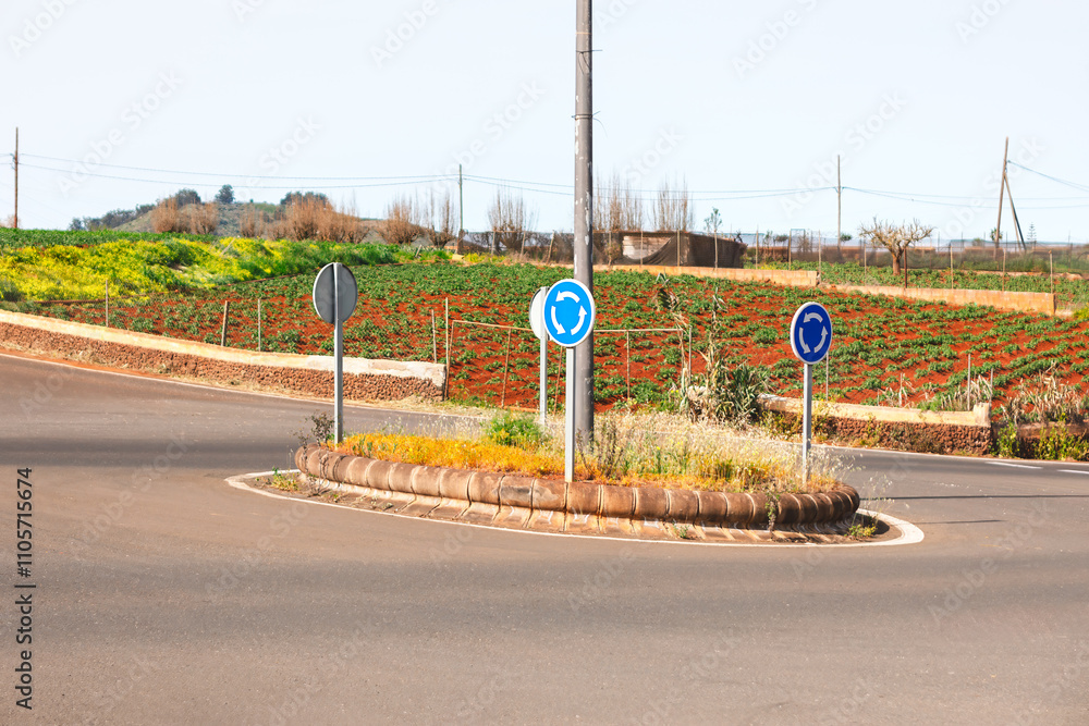 Small roundabout with blue circular traffic signs indicating direction ...