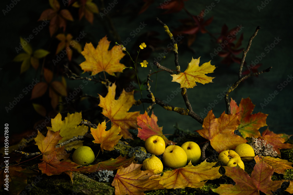 still life, phyto design, flower arrangement, ikebana, wildflowers ...
