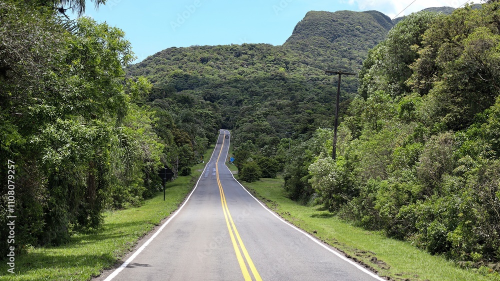 Estrada da Graciosa, estrada histórica na região da Serra do Mar do ...