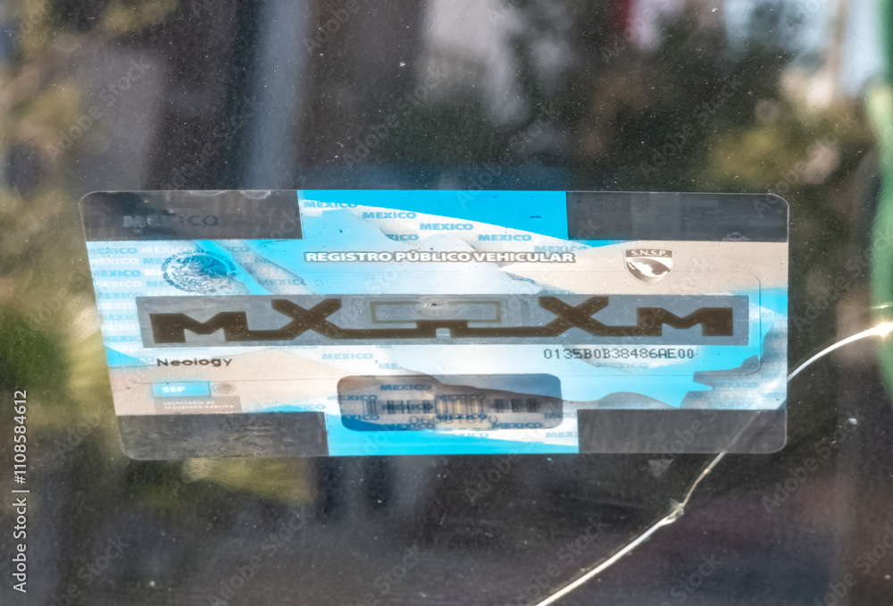 Los Cabos, B.C.S., Mexico. Nov 26, 2024. A close-up of a Mexican ...