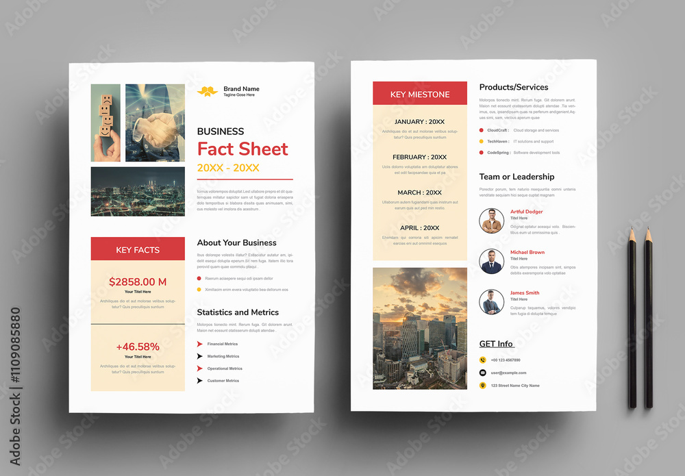 Business Fact Sheet Flyer Stock Template | Adobe Stock