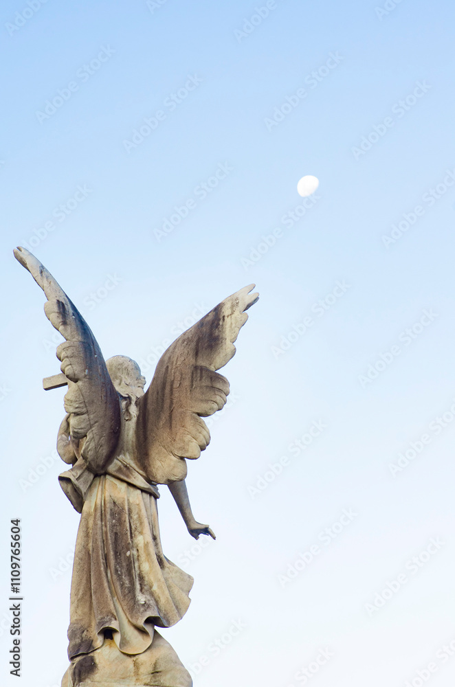 Stone angel, looking into infinity. Represents the escort of the soul ...