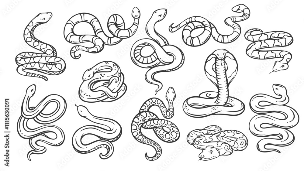 Snake species line icons set. Outline hand drawn wild and Zoo cobra and ...